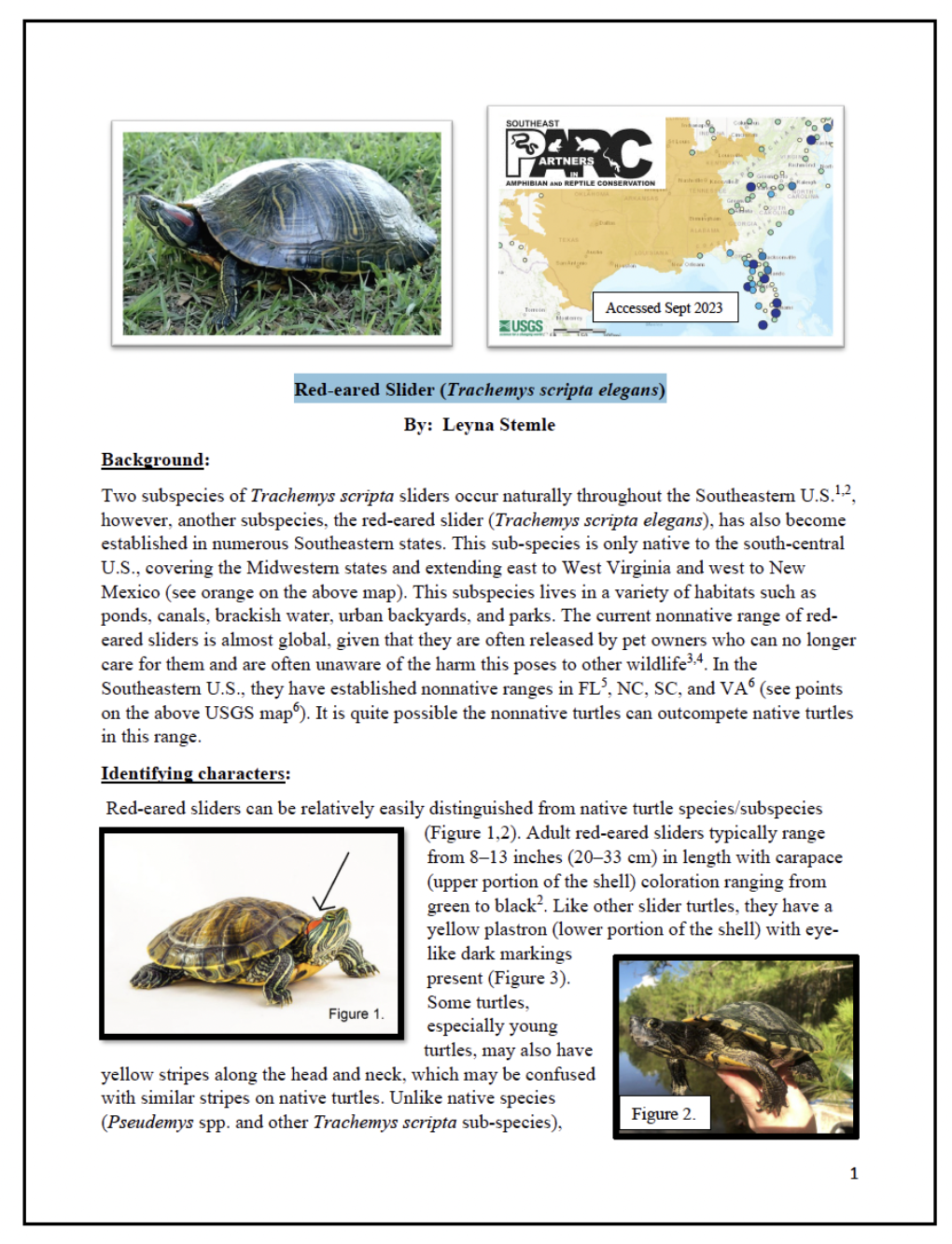Red-Eared Slider (Trachemys scripta elegans) Fact Sheet — SEPARC